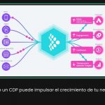 Qué es un CDP | Customer Data Platform | Why Ads Media